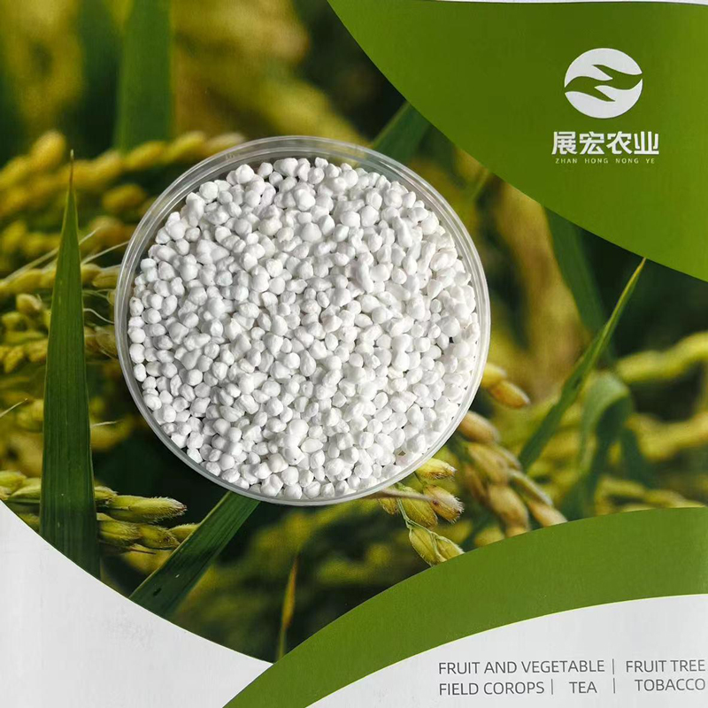 China Granular Ammonium Sulfate N21% (GAS) Chemical Fertilizer ...